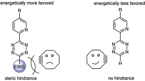 Synthesis and Evaluation of Nicotinic Acid Derived Tetrazines for ...