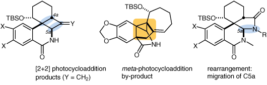 Photocycloaddition and Rearrangement Reactions in a Putative Route to ...