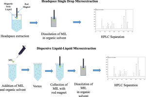 Headspace single drop microextraction versus dispersive liquid-liquid microextraction using ...