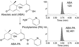 2-picolylamine derivatization for high sensitivity detection of ...