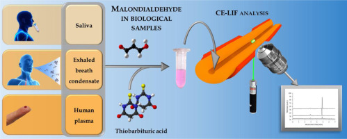 Sensitive determination of malondialdehyde in exhaled breath condensate ...