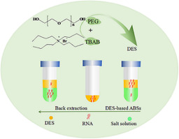 包含基于PEG的深共熔溶剂的水性双相系统，用于RNA的高效分配,Talanta - X-MOL