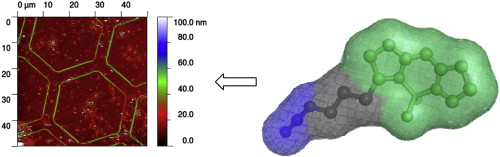 可调节的BODIPY衍生物，适用于“点击”和肽化学,Tetrahedron - X-MOL