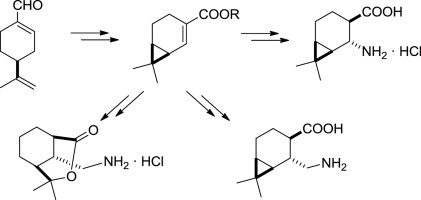 Stereoselective synthesis of carane-based chiral β- and γ-amino acid ...