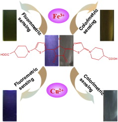 Dual colorimetric and fluorescent chemosensor of Fe3+ and Cu2+ based on 2,5-bis[(4-carboxylic ...