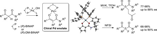 Unique features of chiral palladium enolates derived from β-ketoamide ...