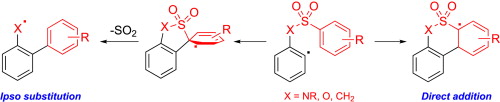 Synthesis of biaryls via intramolecular free radical ipso-substitution ...