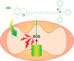 合成三苯基phosph维生素E衍生物作为线粒体靶向抗氧化剂,Tetrahedron - X-MOL