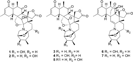 New alkaloids from Formosan zoanthid Zoanthus kuroshio,Tetrahedron - X-MOL