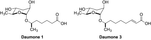 De Novo Asymmetric Synthesis and Biological Analysis of the Daumone ...