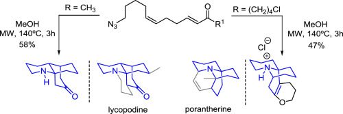 Synthetic studies on the application of the intramolecular azide-alkene ...