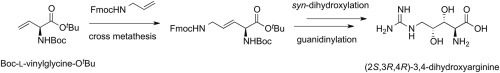 Synthesis of (2S,3R,4R)-3,4-dihydroxyarginine and its inhibitory activity against nitric oxide ...