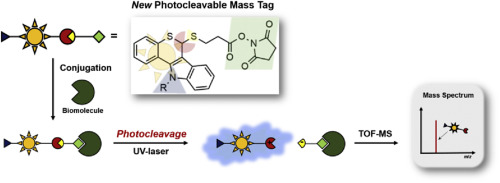 Design and synthesis of new mass tags for matrix-free laser desorption ionization mass ...