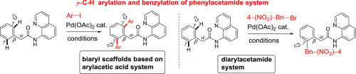 Synthesis of ortho-arylated/benzylated arylacetamide derivatives: Pd ...