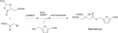 Practical synthesis of mumefural, a component of Japanese apricot juice concentrate,Tetrahedron ...