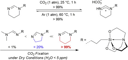 CO2 capture capacity of five- and six-membered cyclic amidines bearing ...