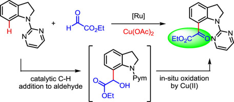 在钌催化下，通过CH加成和氧化法将α-酮羧酸酯基团安装在二氢吲哚的C7位,Tetrahedron - X-MOL