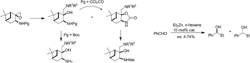 Stereoselective synthesis and transformations of pinane-based 1,3 ...