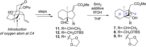Synthetic study of solanoeclepin A: Cyclobutane cyclization via SmI2 ...