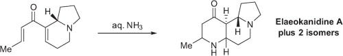 The total synthesis of (+)-elaeokanidine A: natural product or ...