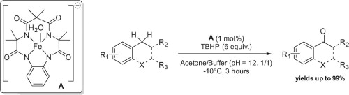 Fe(TAML)Li/tert-butyl hydroperoxide as a new combination for benzylic C ...