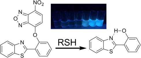 New NBD-based fluorescent probes for biological thiols,Tetrahedron Letters - X-MOL