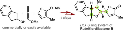 Concise synthesis of the DEFG ring system in rubriflordilactone B ...