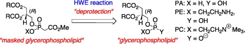 A novel synthetic approach to glycerophospholipids via Horner–Wadsworth ...