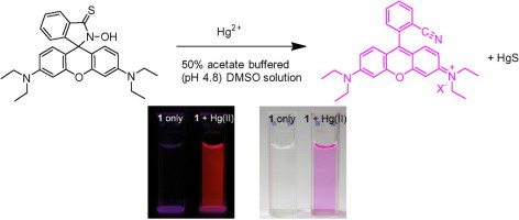 Hg2+-selective dual signaling probe based on a thio-functionalized rhodamine B hydroxamic acid ...