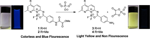 1,8-Naphthyridine-based boron complexes: visible colorimetric probes ...
