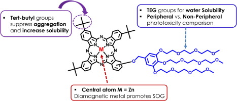Asymmetric ZnPc–TEG photosensitizers: the effect of Pc substitution on ...