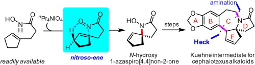 Nitroso-ene cyclization enabled access to 1-azaspiro[4.4]nonane and its ...