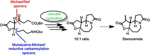 Cascade cyclization triggered by imine formation. Formal synthesis of ...