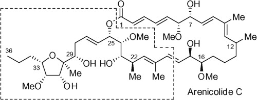 Synthetic study of arenicolide C: stereoselective synthesis of the C19 ...