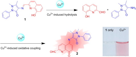 Cu2+-selective colorimetric signaling by sequential hydrolysis and ...