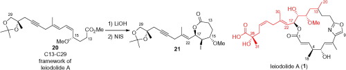 Synthesis of the C13–C29 fragment of leiodolide A: allylic asymmetric ...