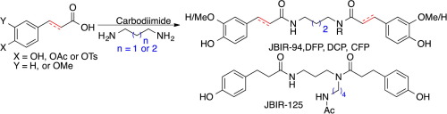 Synthesis of Actinomycetes natural products JBIR-94, JBIR-125, and ...