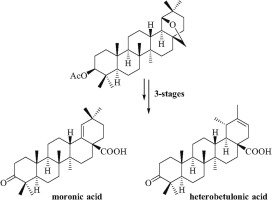 An efficient synthesis of moronic and heterobetulonic acids from ...