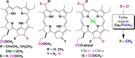 用Tebbe试剂将叶绿素衍生物的π共轭外围取代基中的羰基转化为亚乙烯基,Tetrahedron Letters - X-MOL