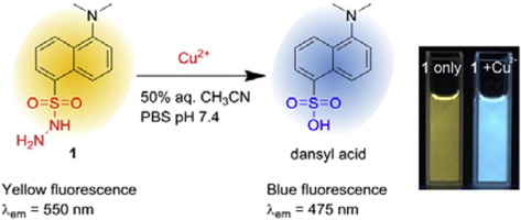 基于丹磺酰肼水解的Cu2 +选择性比例荧光信号探针,Tetrahedron Letters - X-MOL