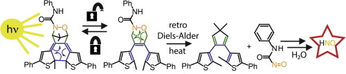 Photochemical locking and unlocking of an acyl nitroso dienophile in ...