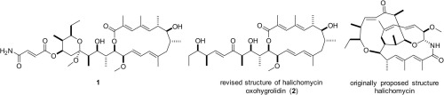 A new antifungal macrolide from Streptomyces sp. KIB-H869 and structure ...