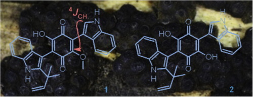 Truncaquinones A and B, asterriquinones from Annulohypoxylon truncatum ...