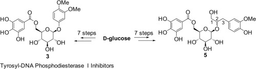 Synthesis of tyrosyl-DNA phosphodiesterase I inhibitors,Tetrahedron ...