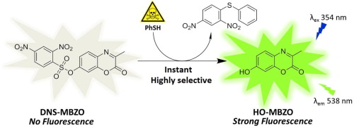 A highly selective 7-hydroxy-3-methyl-benzoxazinone based fluorescent probe for instant ...
