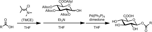 The practical synthesis of β-acyl glucuronides by using allyl 2,3,4-tri ...