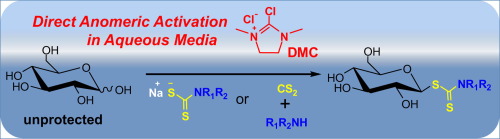 Protection-free synthesis of glycosyl dithiocarbamates in aqueous media ...