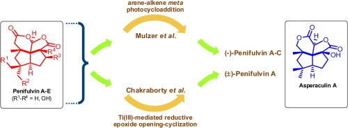 An overview of the recent synthetic studies toward penifulvins and ...