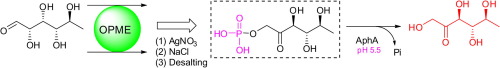 Two-step enzymatic synthesis of 6-deoxy-l-psicose,Tetrahedron Letters ...