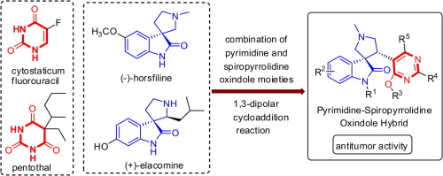 Molecular hybridization-guided 1,3-dipolar cycloaddition reaction ...